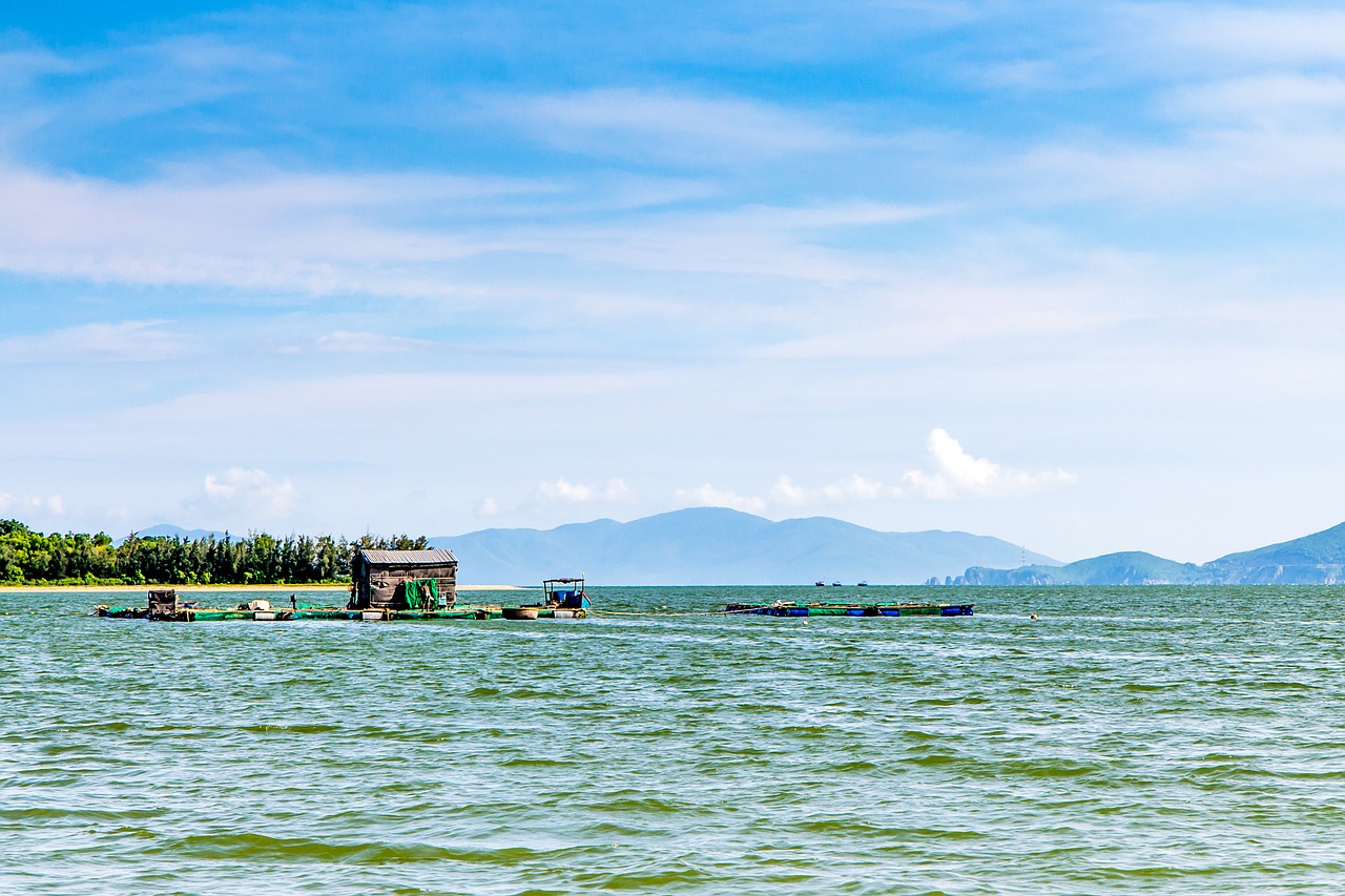 Jeu : Test d'intelligence japonais à terminer en 15 minutes - Clic Ouest